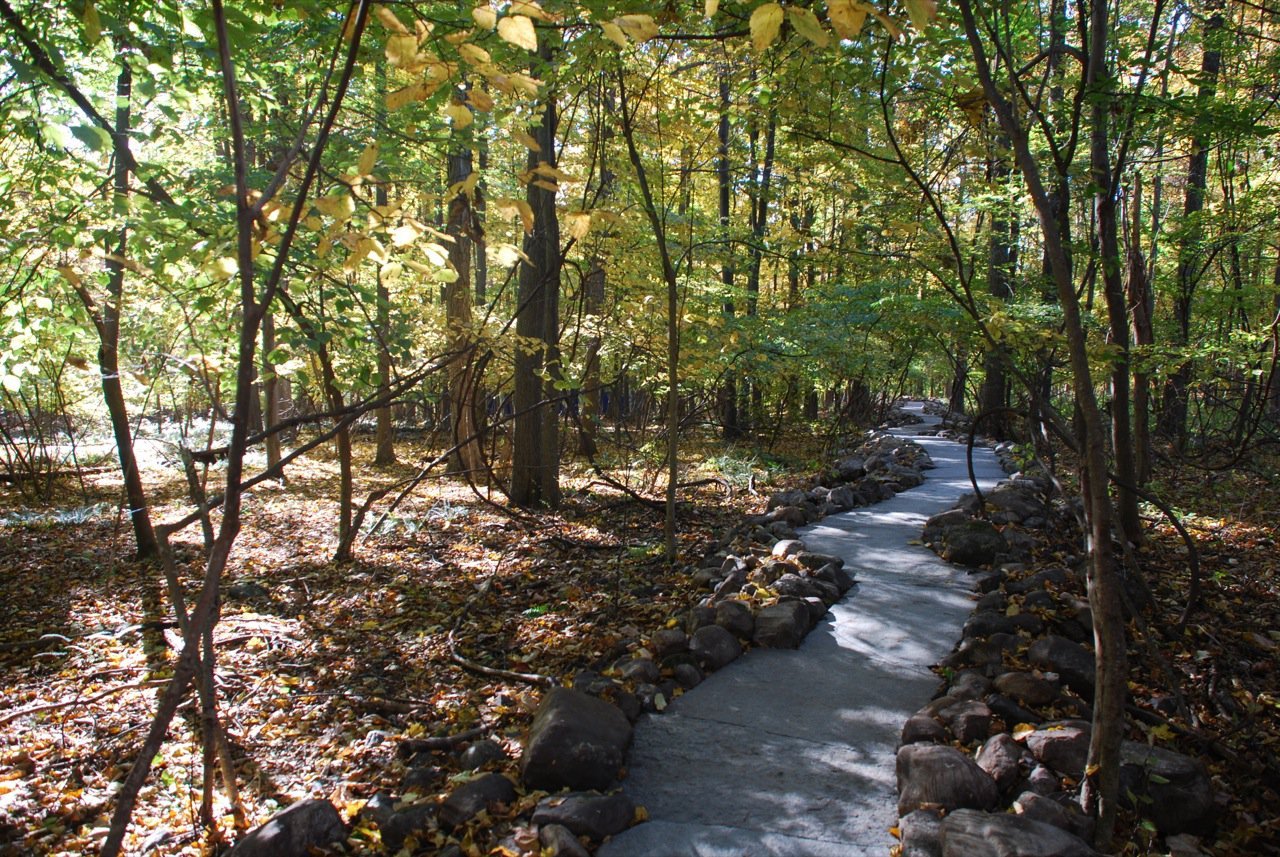 Gallery of Stone River / Jon Piasecki - 9