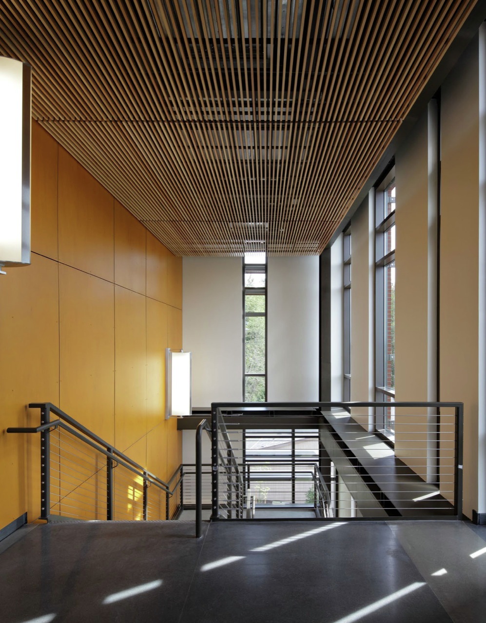 Gallery of Maier Hall / Schacht Aslani Architects - 3