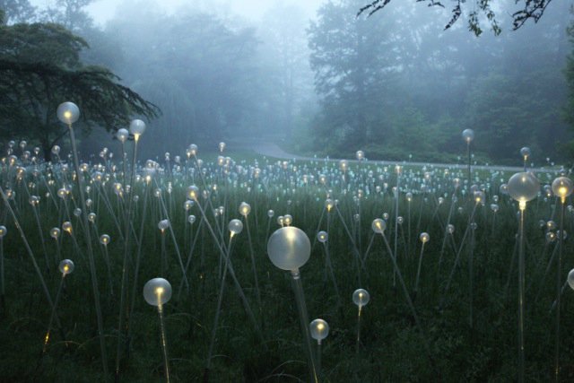 Gallery of Bruce Munro’s stunning LED Installations light up Longwood ...