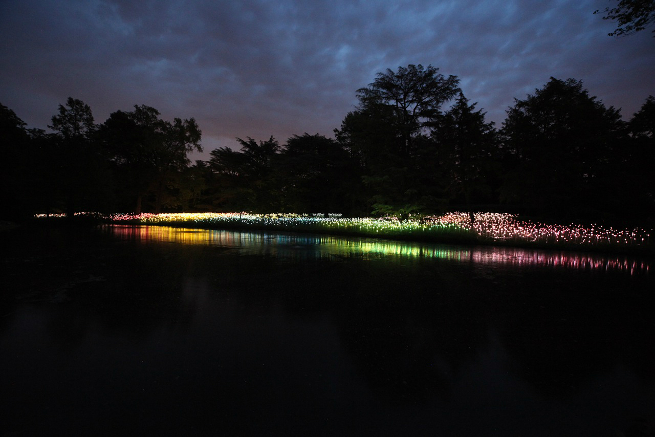 Gallery of Bruce Munro’s stunning LED Installations light up Longwood ...