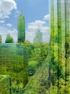 Gallery of Updating New York's Zoning Resolution / Zone Green - 2