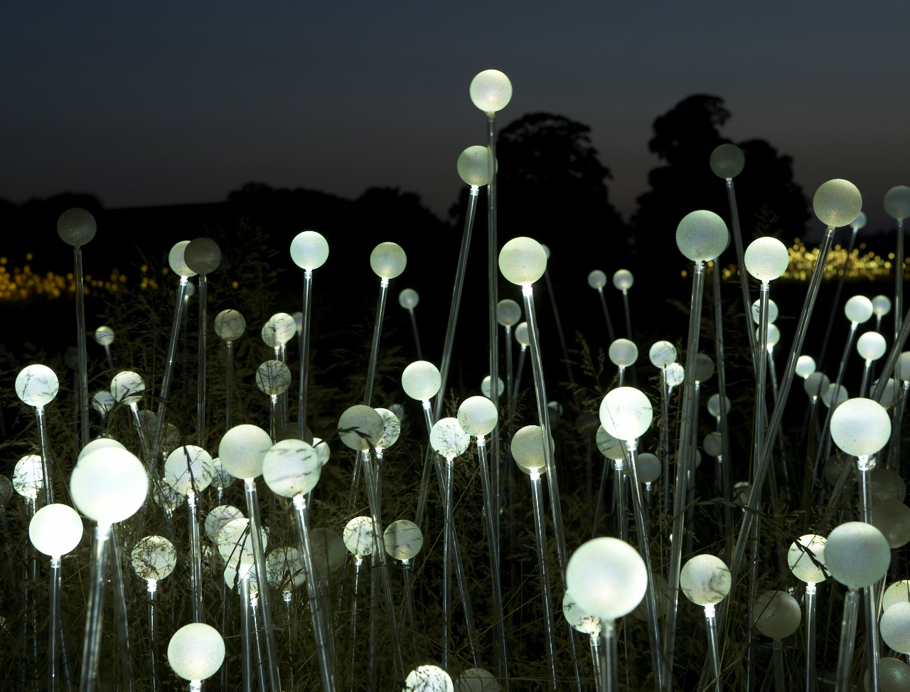 Gallery of Bruce Munro announces plans for Solar Powered Field of Light ...