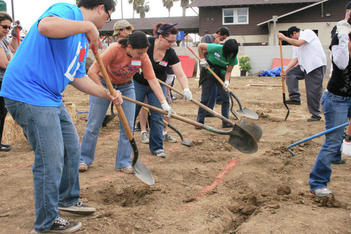 New City Farm / Studio One Eleven | ArchDaily