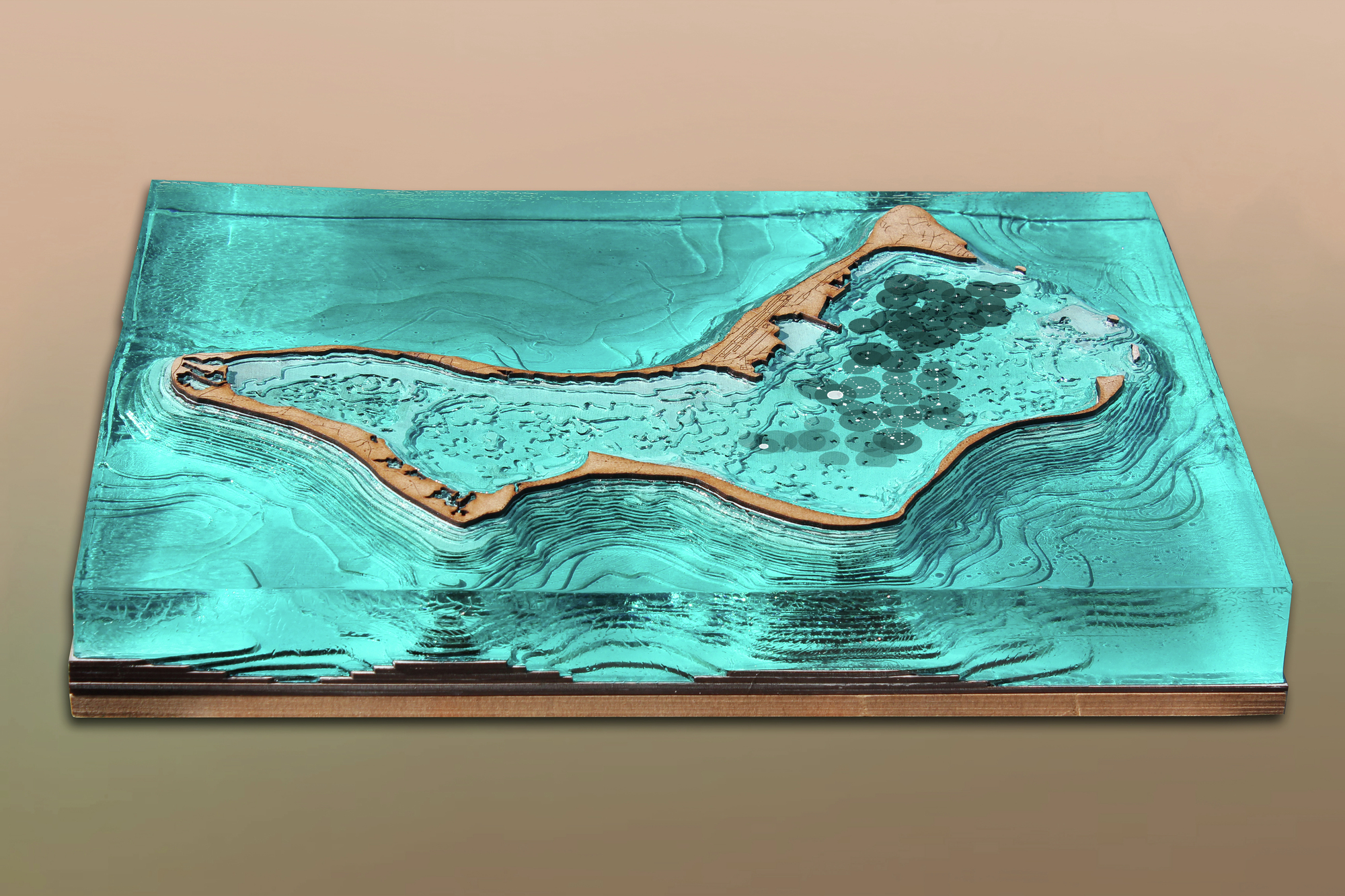 Gallery of "Coral Frontiers" Proposes System of Coral-Remediating ...