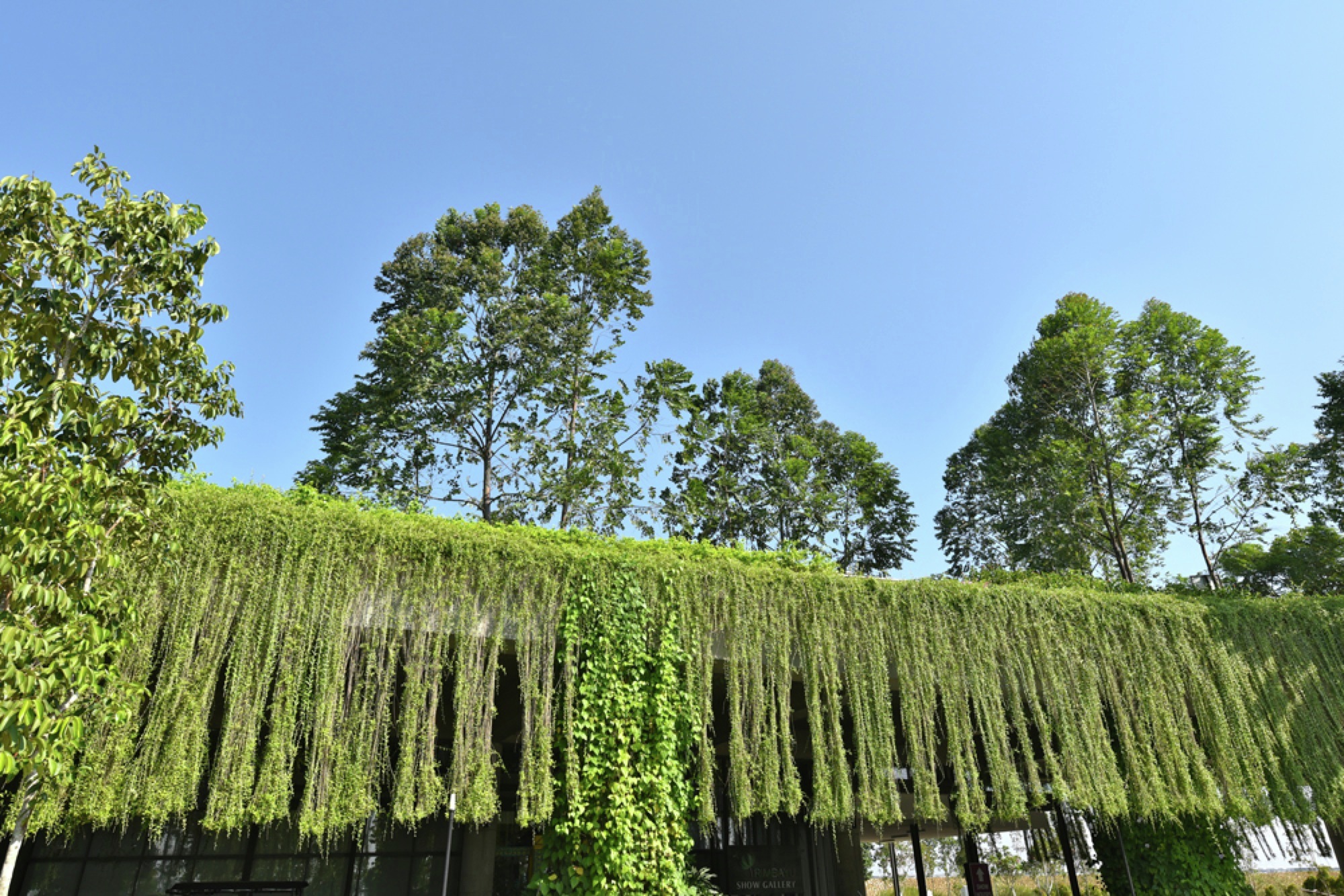 Gallery of The Arc at Bandar Rimbayu / Garis Architects - 21