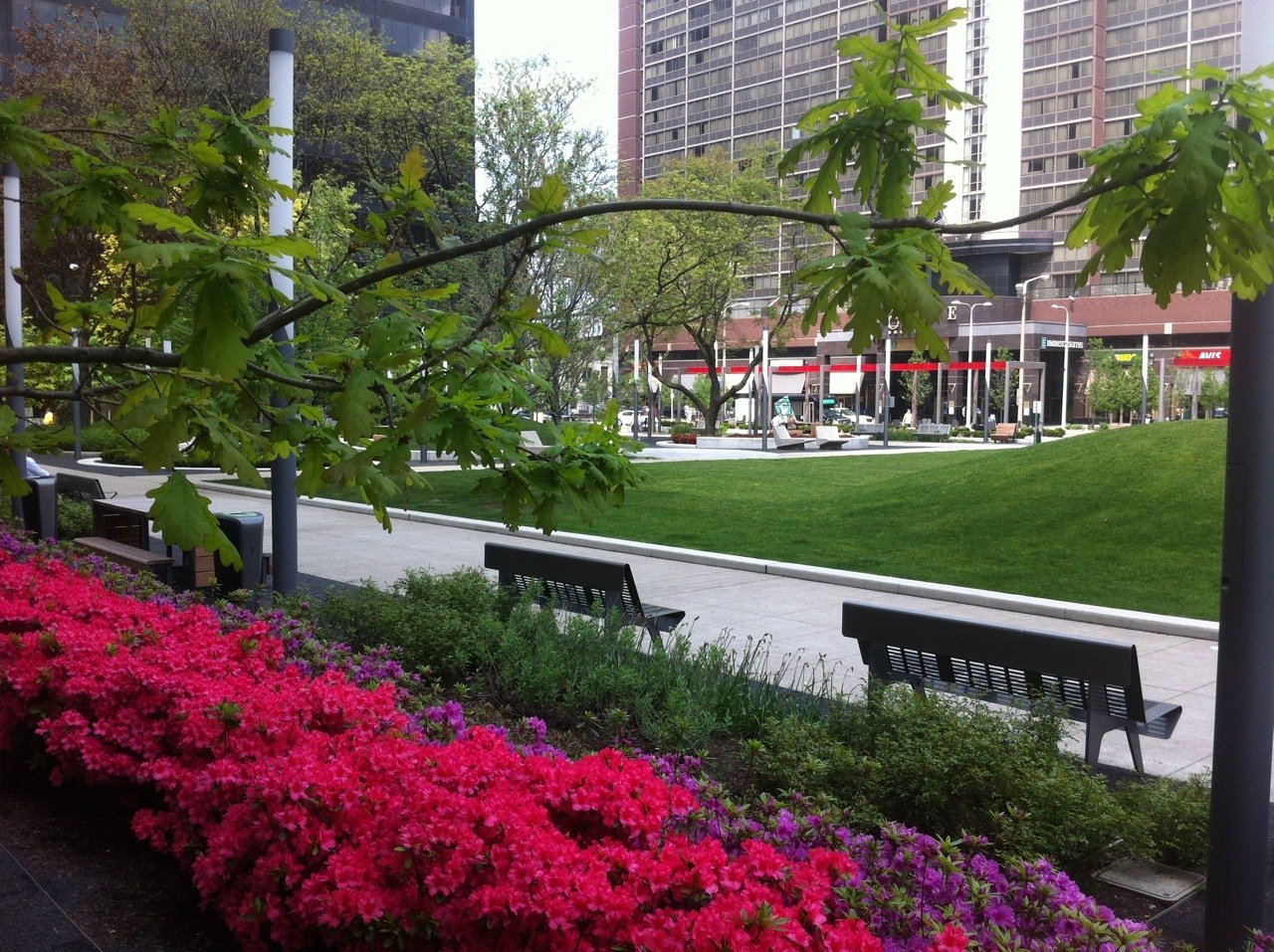 Gallery of Perk Park / Thomas Balsley Associates with Jim McKnight - 9