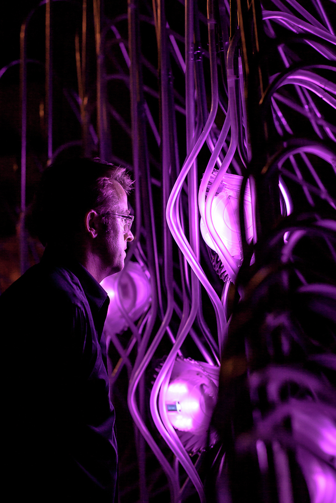 Gallery of Datagrove / Future Cities Lab - 3