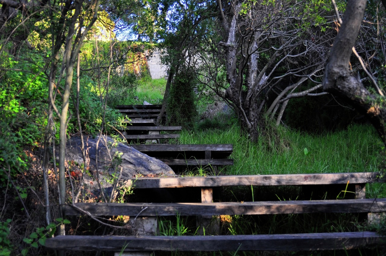 Galería de Punta Pite / Estudio del Paisaje Teresa Moller & Asociados - 27