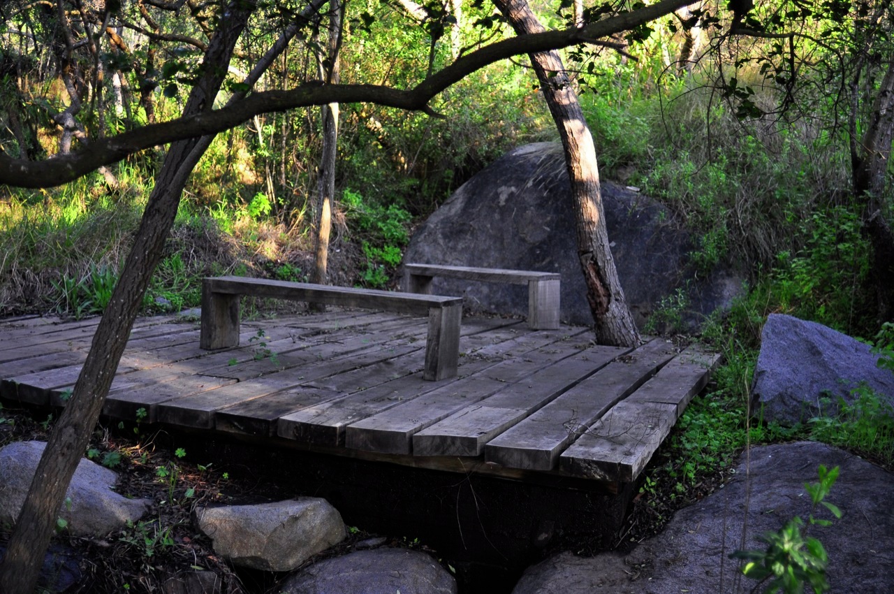 Galería de Punta Pite / Estudio del Paisaje Teresa Moller & Asociados - 13