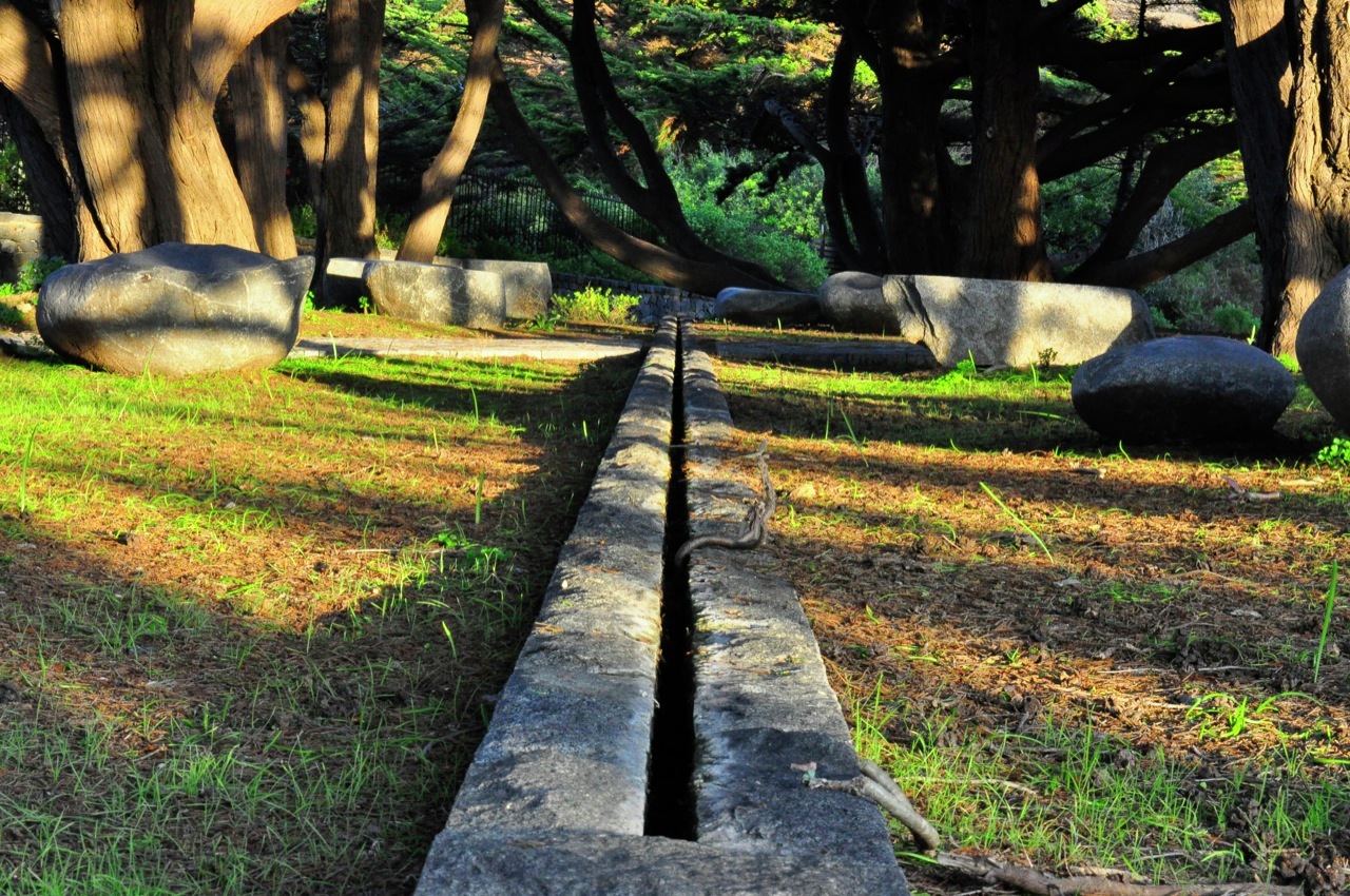 Galería de Punta Pite / Estudio del Paisaje Teresa Moller & Asociados - 25