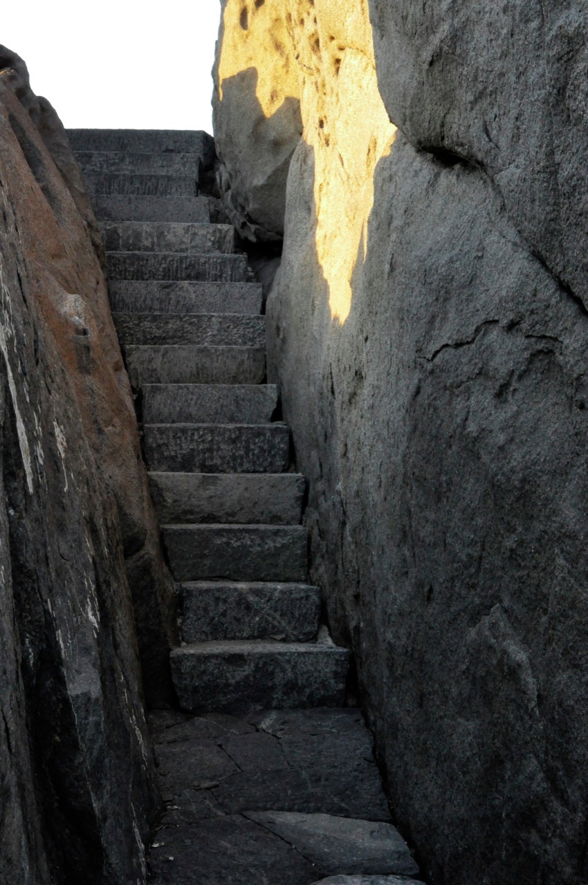 Galería de Punta Pite / Estudio del Paisaje Teresa Moller & Asociados - 10