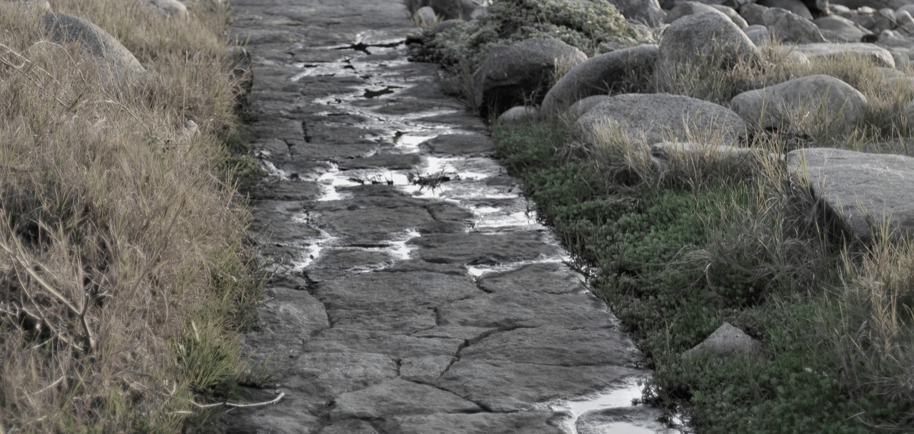 Galería de Punta Pite / Estudio del Paisaje Teresa Moller & Asociados - 8