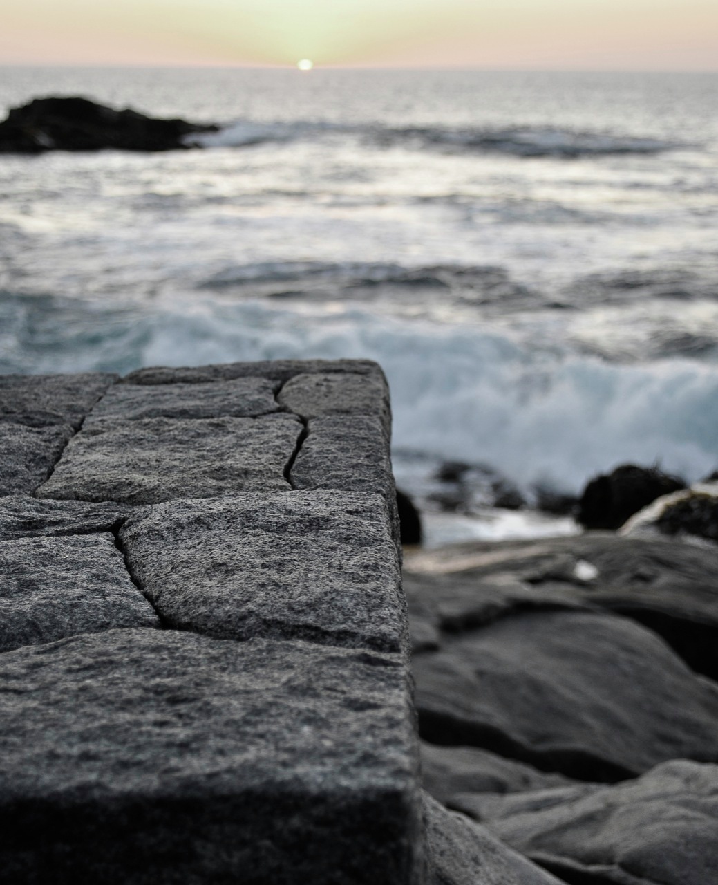 Galería de Punta Pite / Estudio del Paisaje Teresa Moller & Asociados - 31