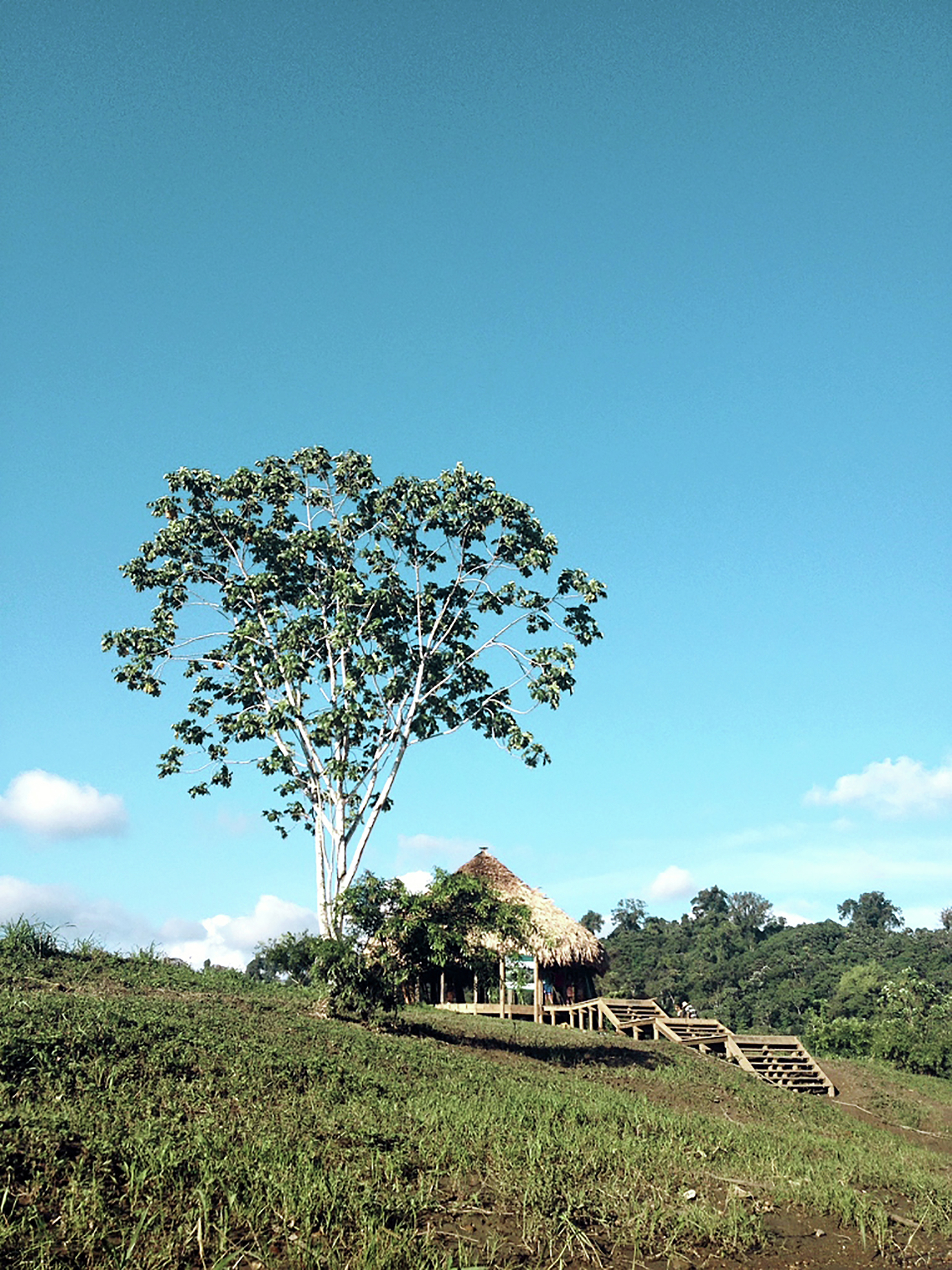 Gallery of Kipará Té Embera Tourist Etno-village / Juan Pablo Dorado ...