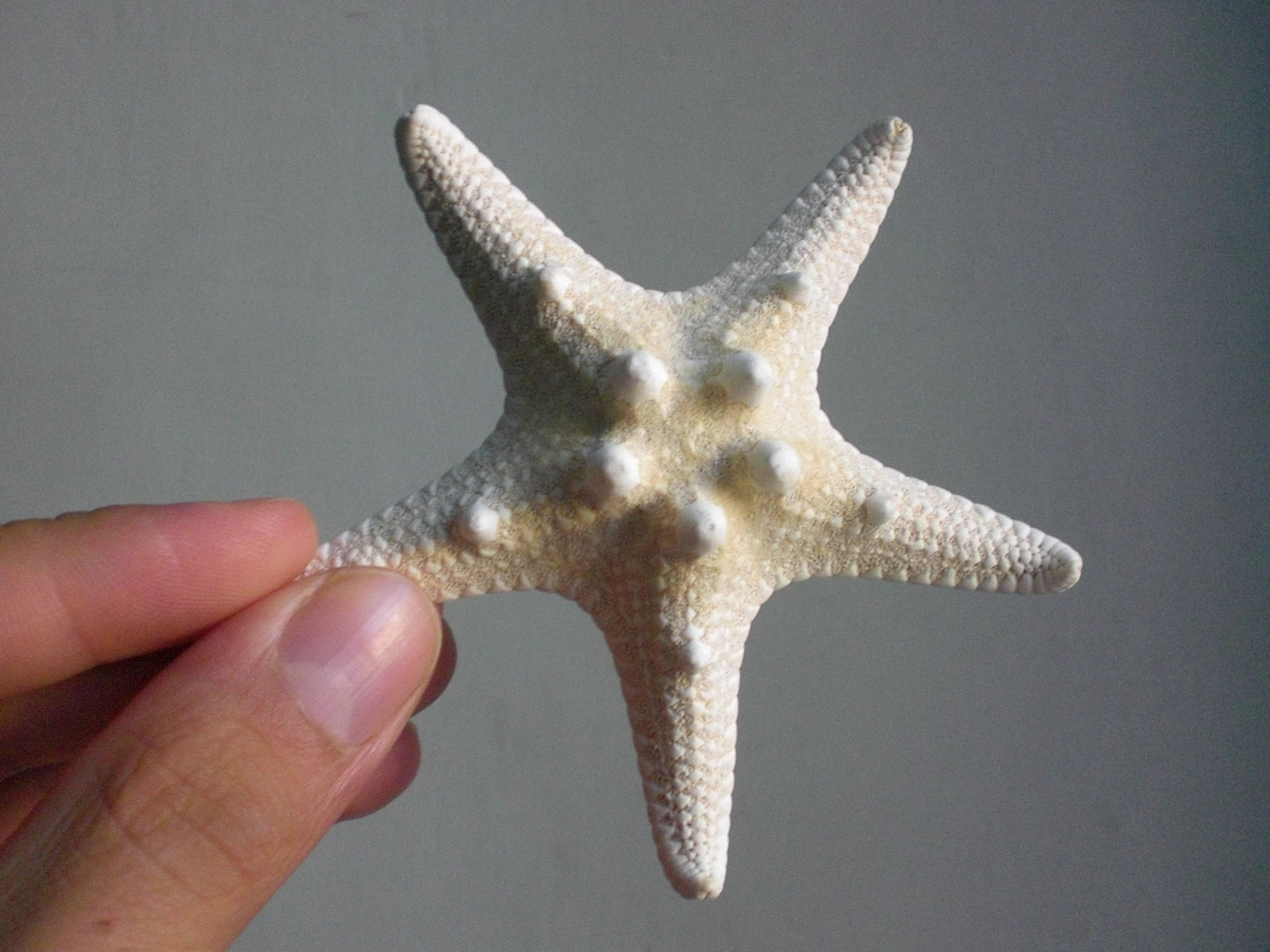 Gallery of Starfish Square / Schiavello Architects Office - 3