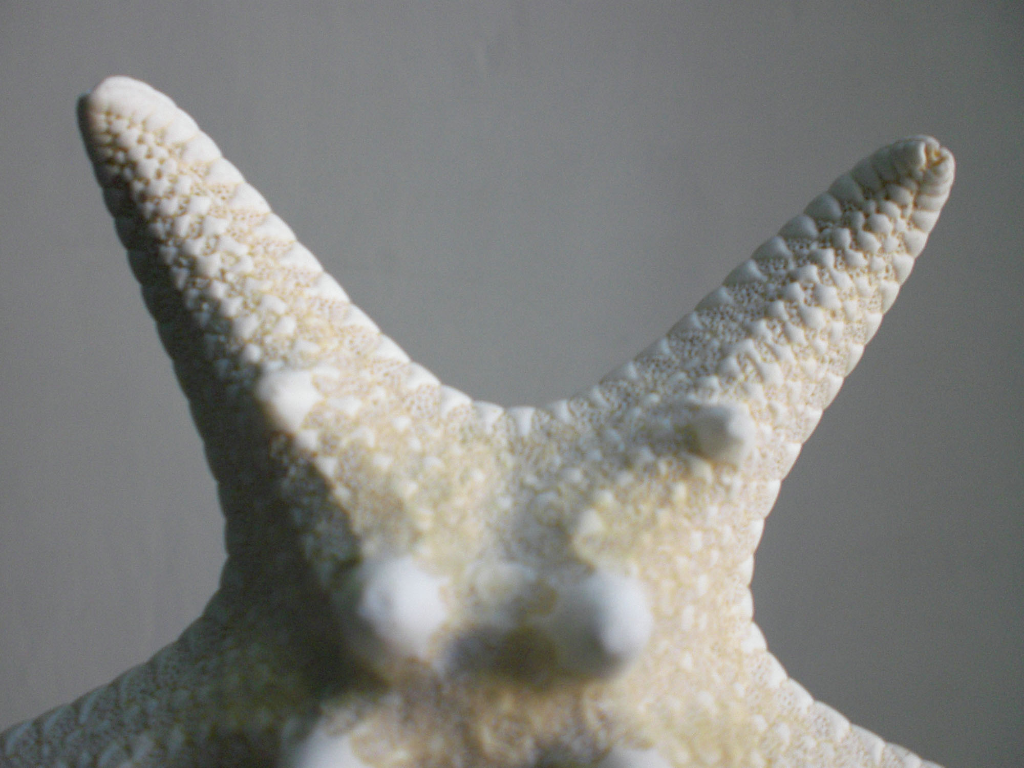 Gallery of Starfish Square / Schiavello Architects Office - 4