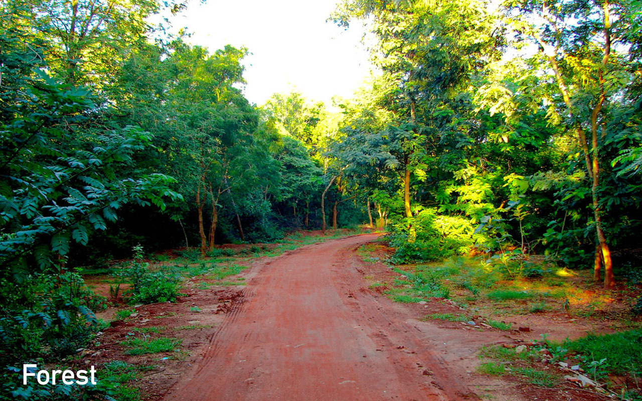 Gallery of 'Forest Life' / OOZE - 5