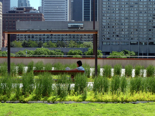 PLANT Receives Honorable Mention for NPS Roof Garden | ArchDaily