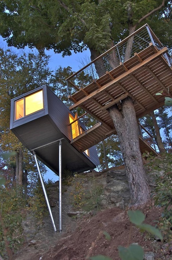Gallery of Cliff Treehouse / Baumraum - 6