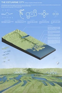 Gallery of Rising Tides Competition results - 4