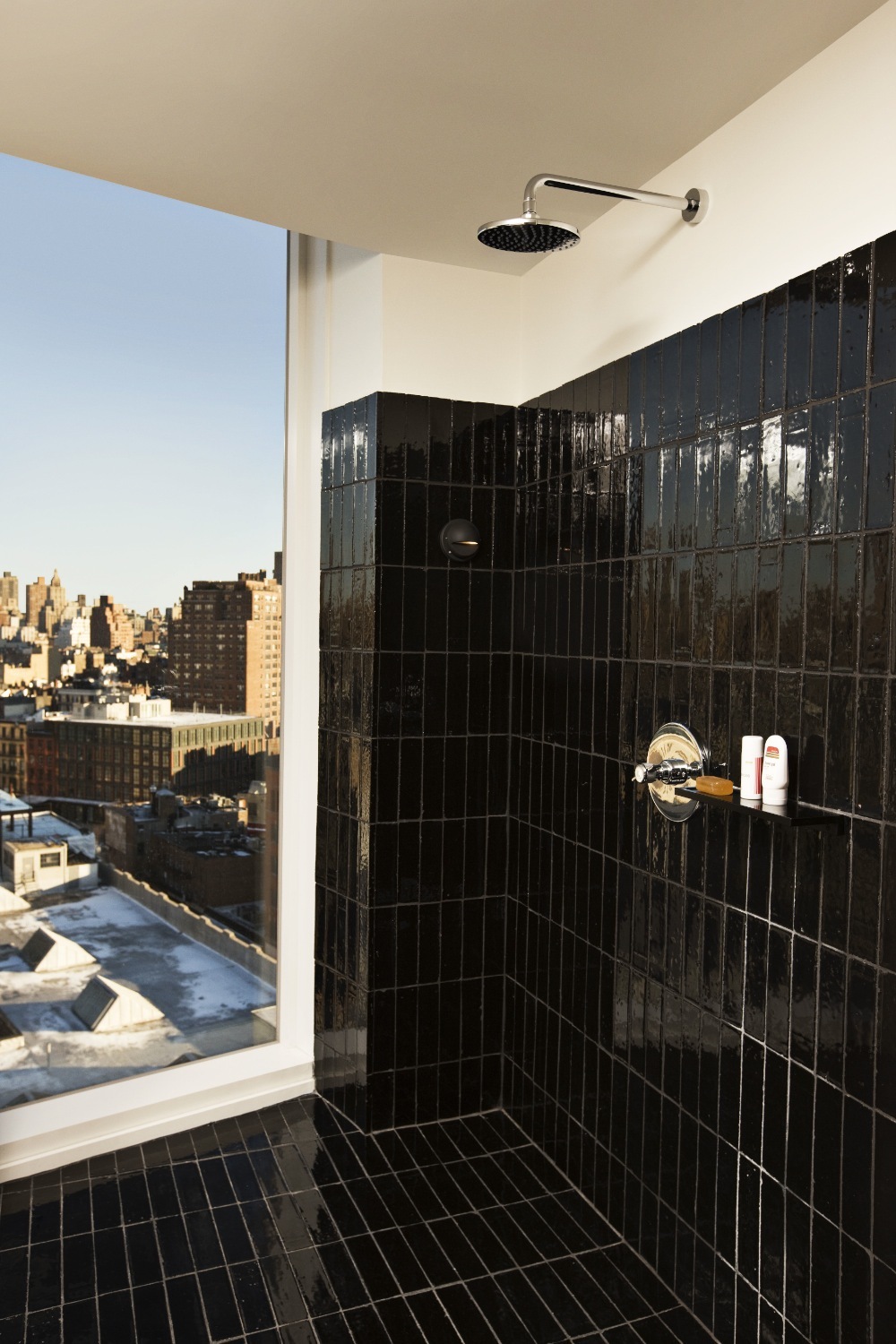Gallery Of The Standard Hotel New York Polshek Partnership Architects 10
