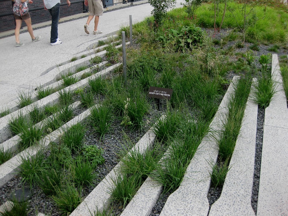 Gallery of First Hand on the Highline - 20