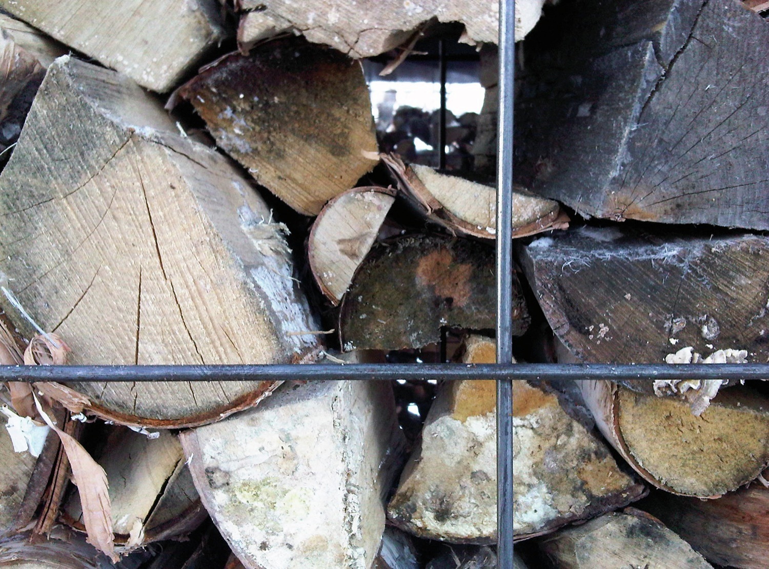 Gallery of Update: WOODPILE / Noa Biran + Roy Talmon - 2