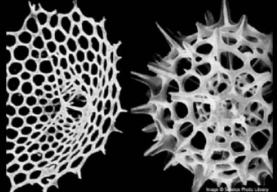 Video: Nature in Architecture with Michael Pawlyn | ArchDaily