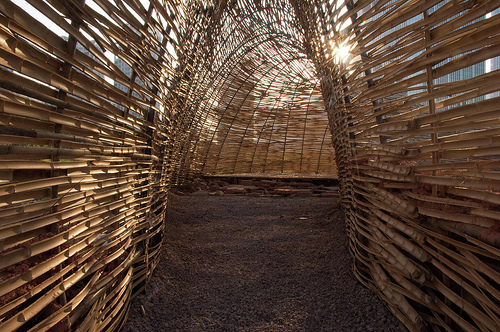 Gallery of Bug Dome / the WEAK! - 15