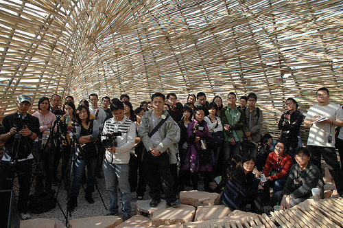 Gallery of Bug Dome / the WEAK! - 24