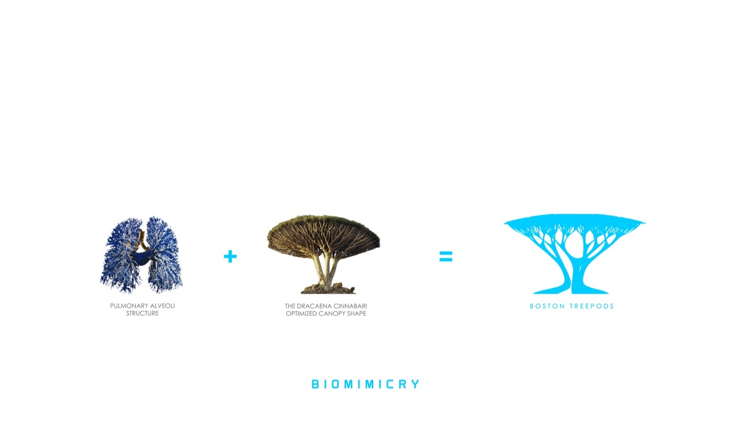 Boston's Treepods / Influx_Studio | ArchDaily