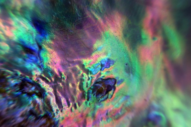 Interview: Michael Pawlyn on Biomimicry | ArchDaily