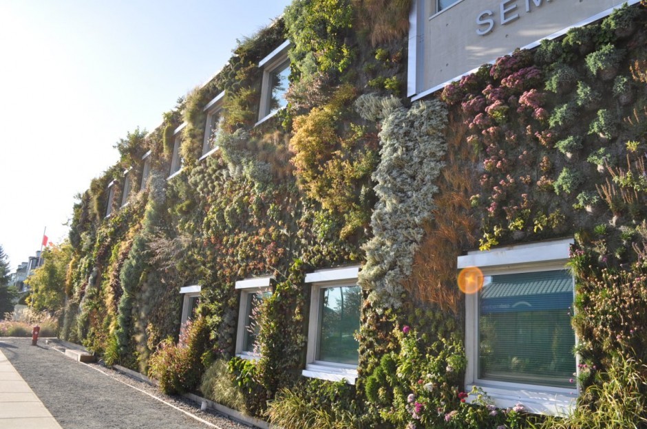 Gallery of Buildings Sprout Living Walls by Green Over Grey - 7