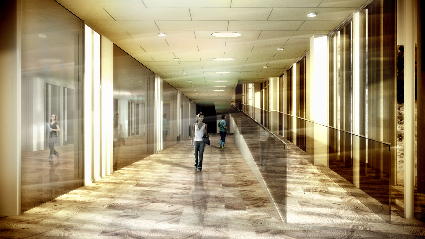 Gallery of Multifunctional Center and Development of the Natural ...