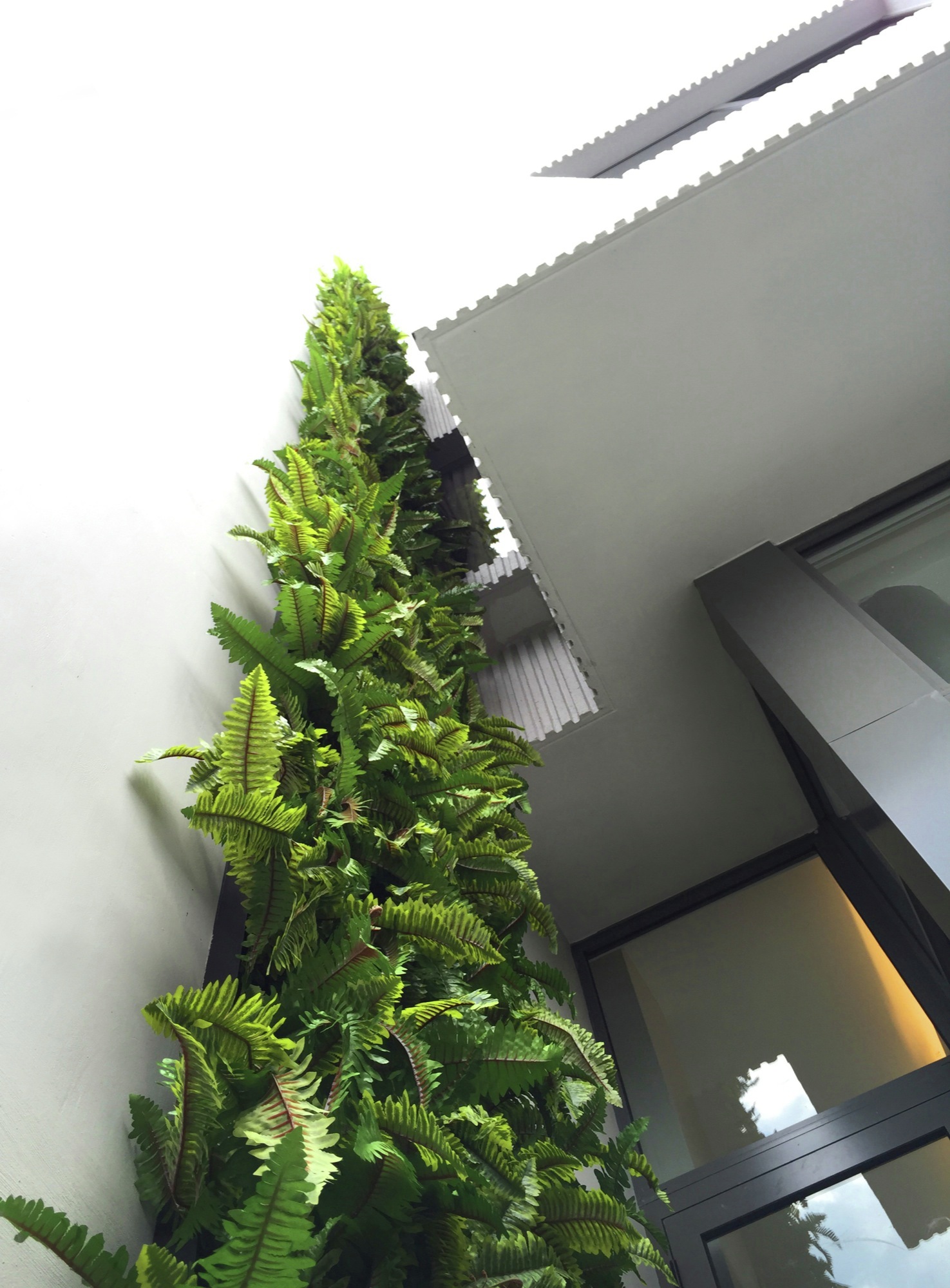 Gallery of 22 Greenleaf Place / IX Architects - 19