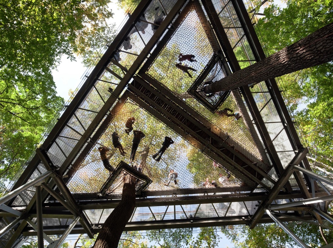 Gallery of Morris Arboretum Tree Adventure / Metcalfe Architecture ...