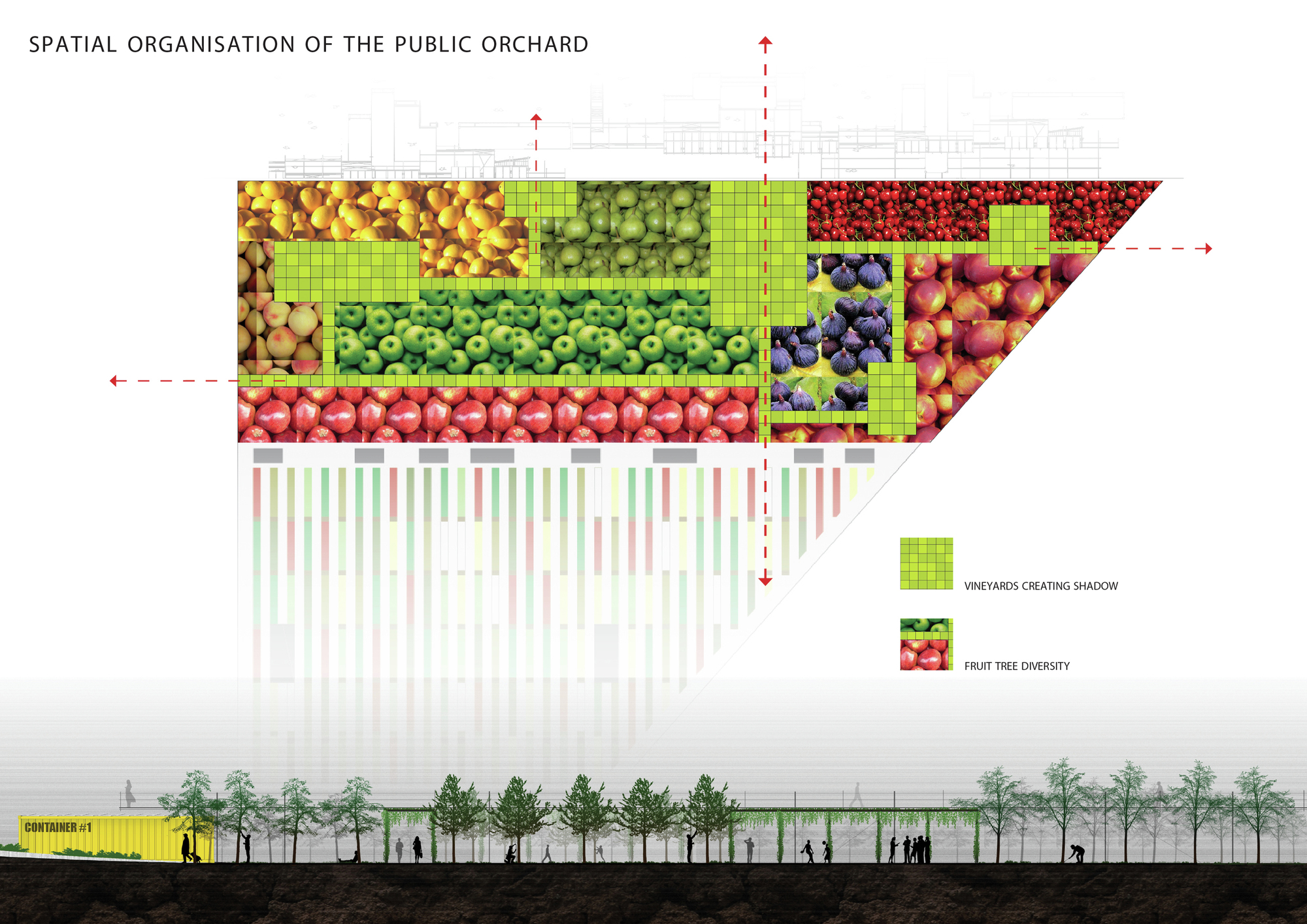 Gallery of Bronx Public Farm and Orchard / Alexandros Avlonitis - 7