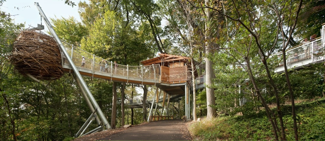 Gallery of Morris Arboretum Tree Adventure / Metcalfe Architecture ...