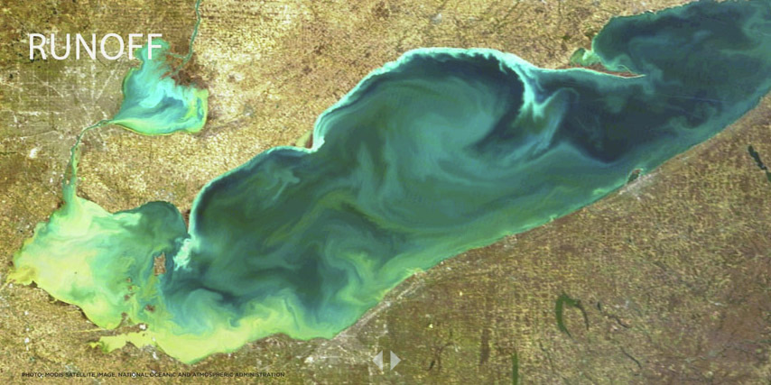 Gallery of Vision for the Great Lakes at TEDxTalks by Philip Enquist of ...