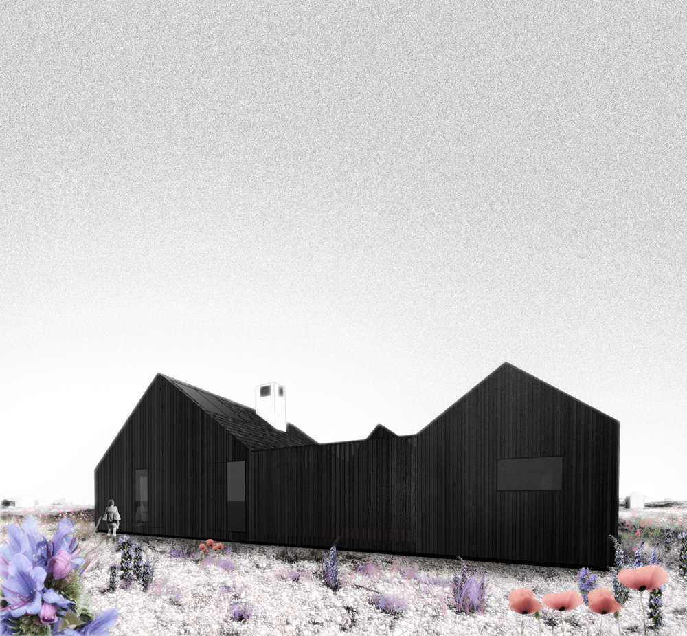 Gallery of The Shingle House / NORD Architecture / Living Architecture - 8