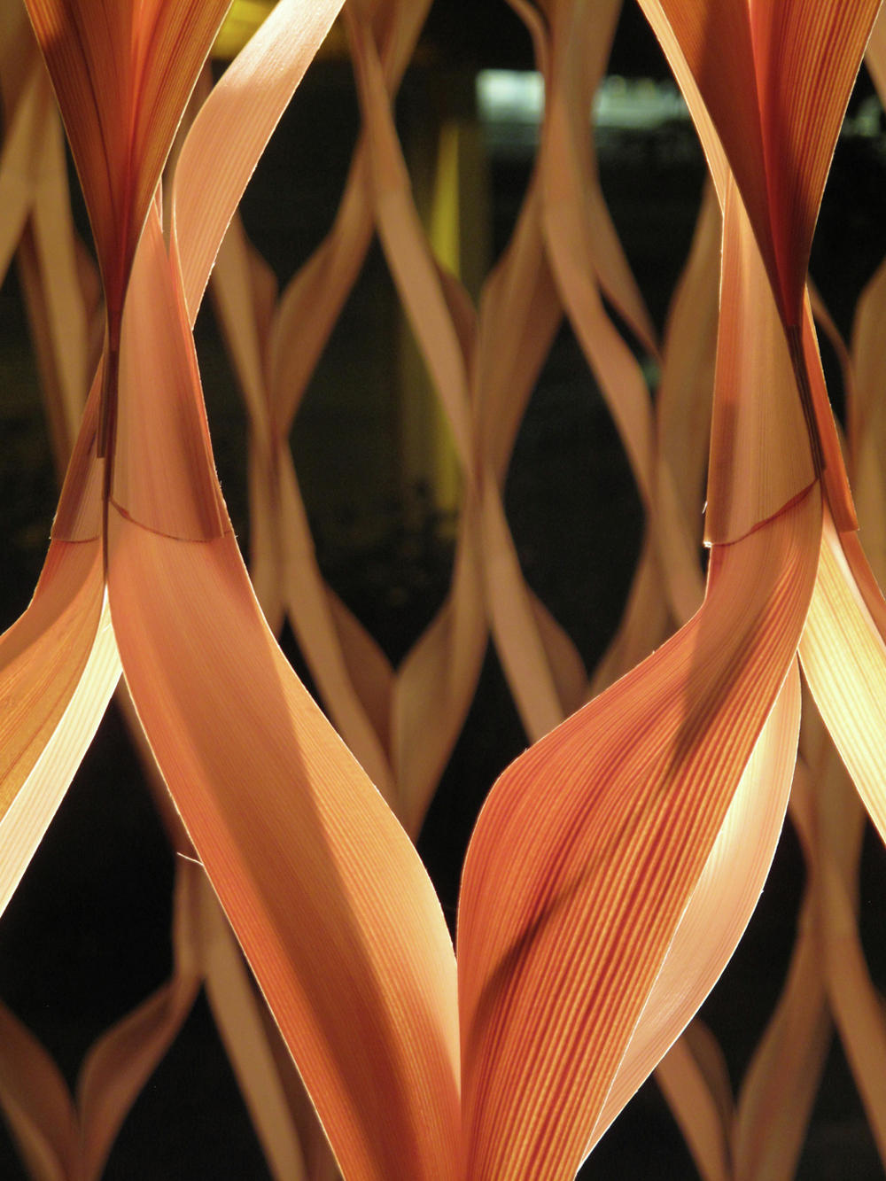 Gallery of Wood Pavilion / Wing Yi Hui + Lap Ming Wong - 13