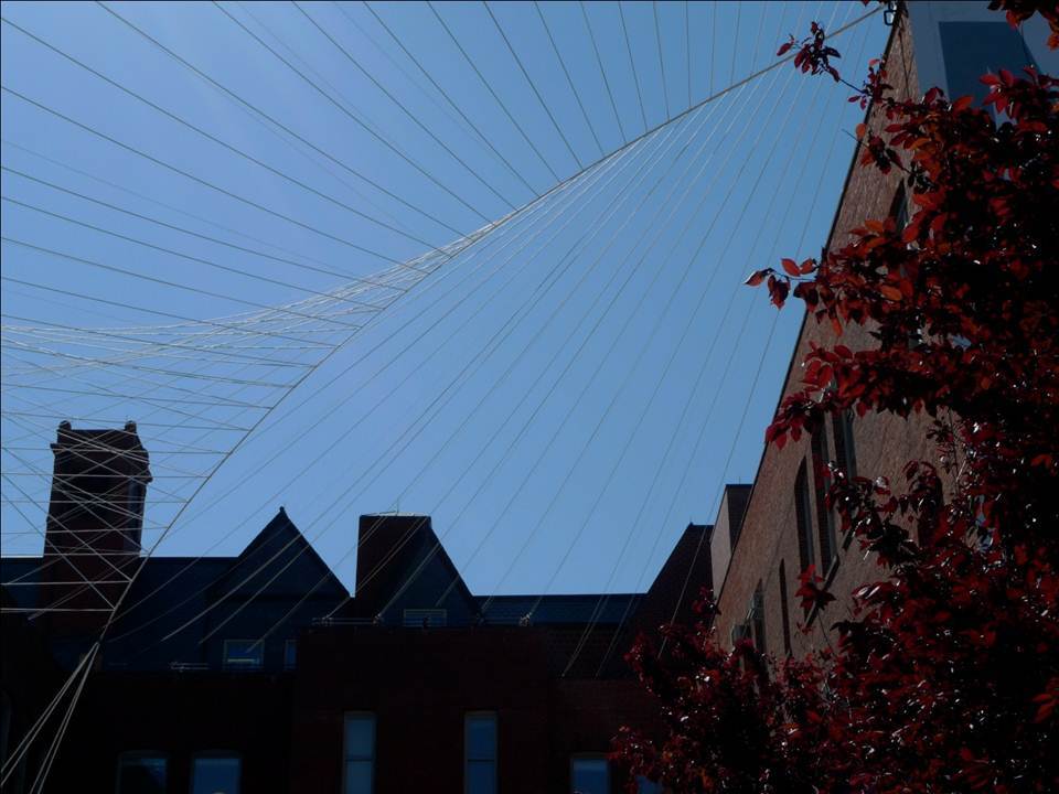 Gallery of In Progress: Interboro Partners' "Holding Pattern" P.S.1 ...