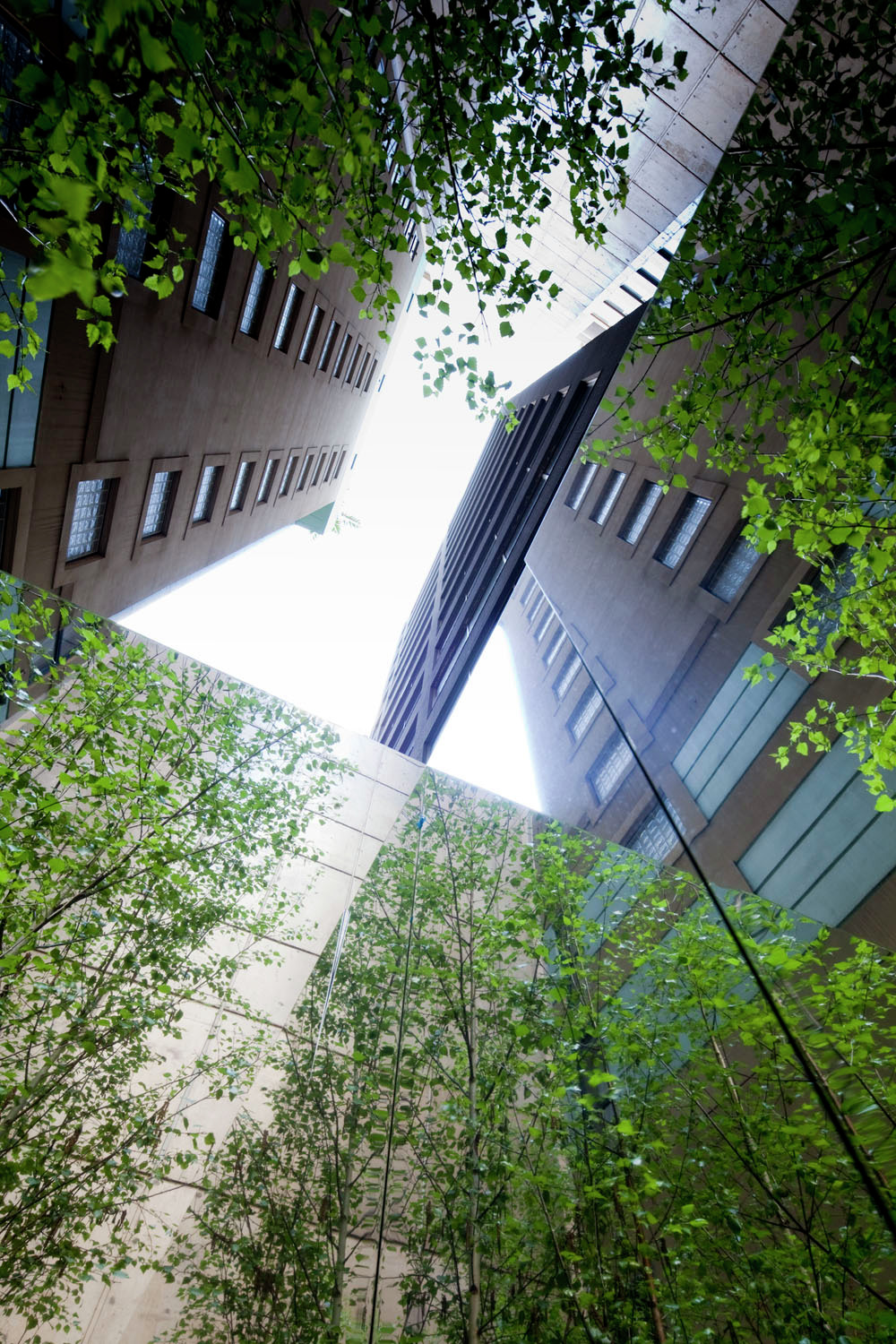 Gallery of Infinity Forest Project / Scale Architecture - 5