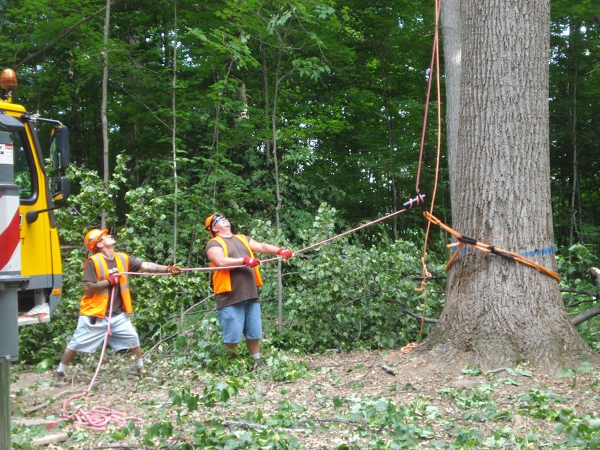 Gallery of Chop Stick / Visiondivision - 7