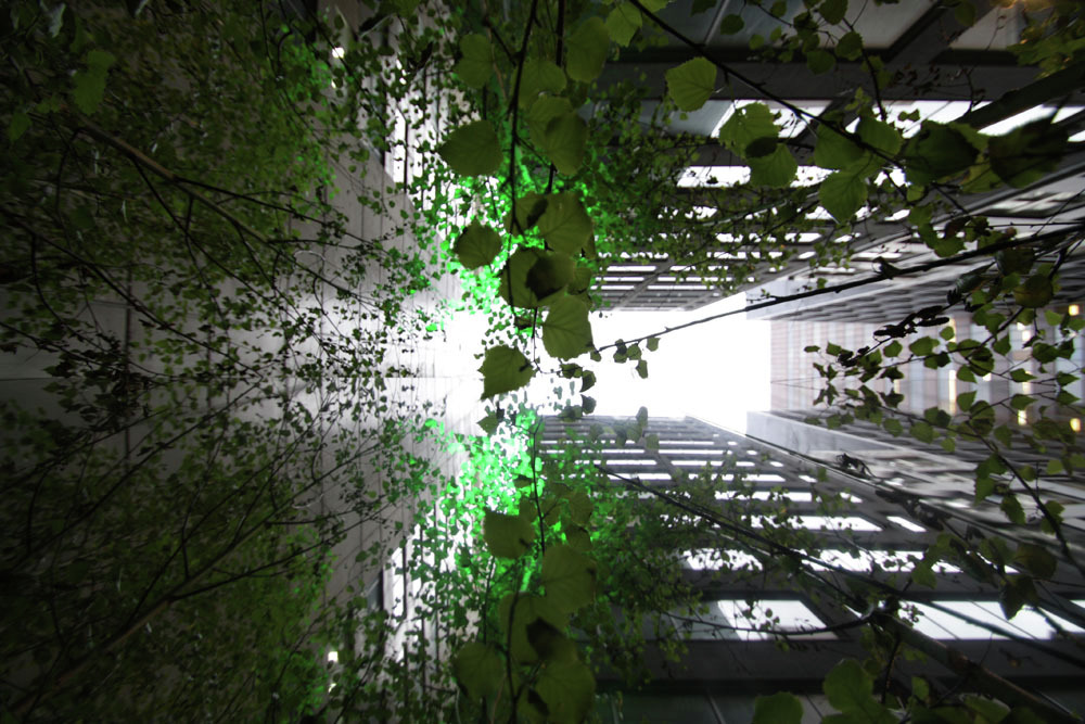 Gallery of Infinity Forest Project / Scale Architecture - 4