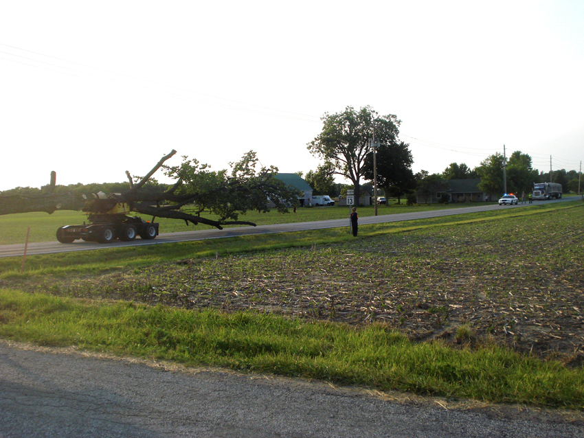 Gallery of Chop Stick / Visiondivision - 2