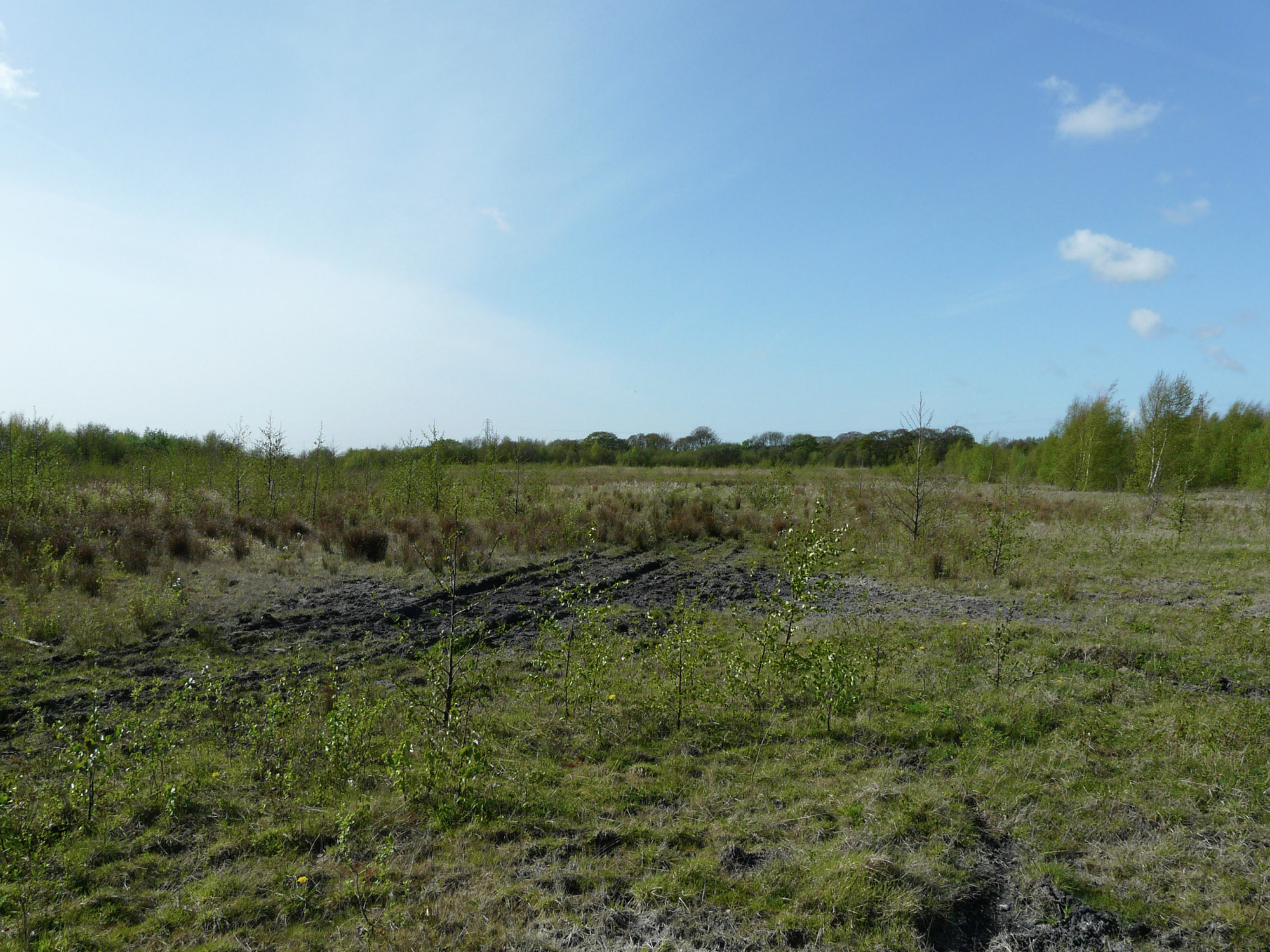 Gallery of New Visitor Destination & Public Open Space at Cronton ...