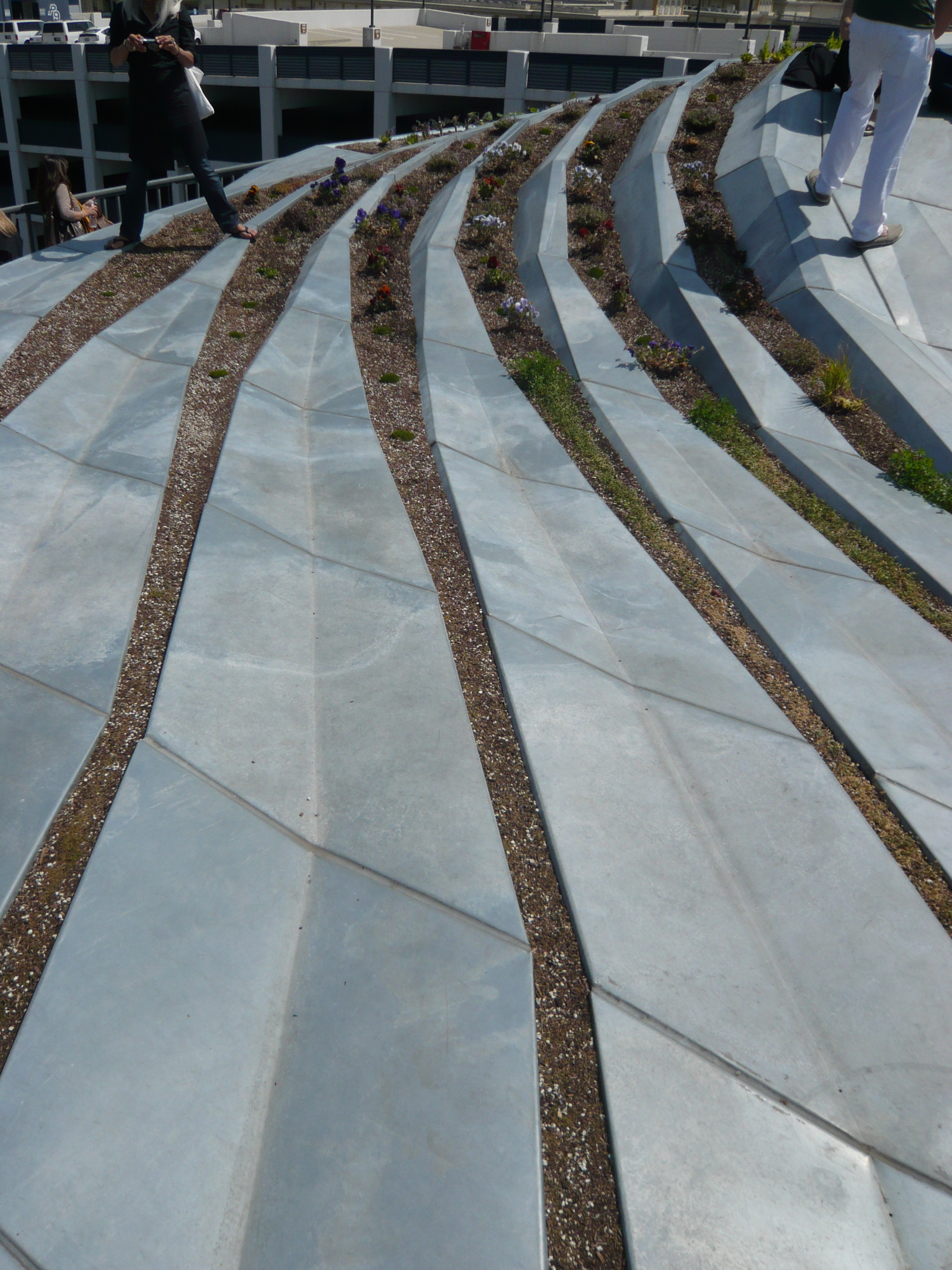 Gallery of AD Interviews: Alexis Rocha, I/O Platform - 14