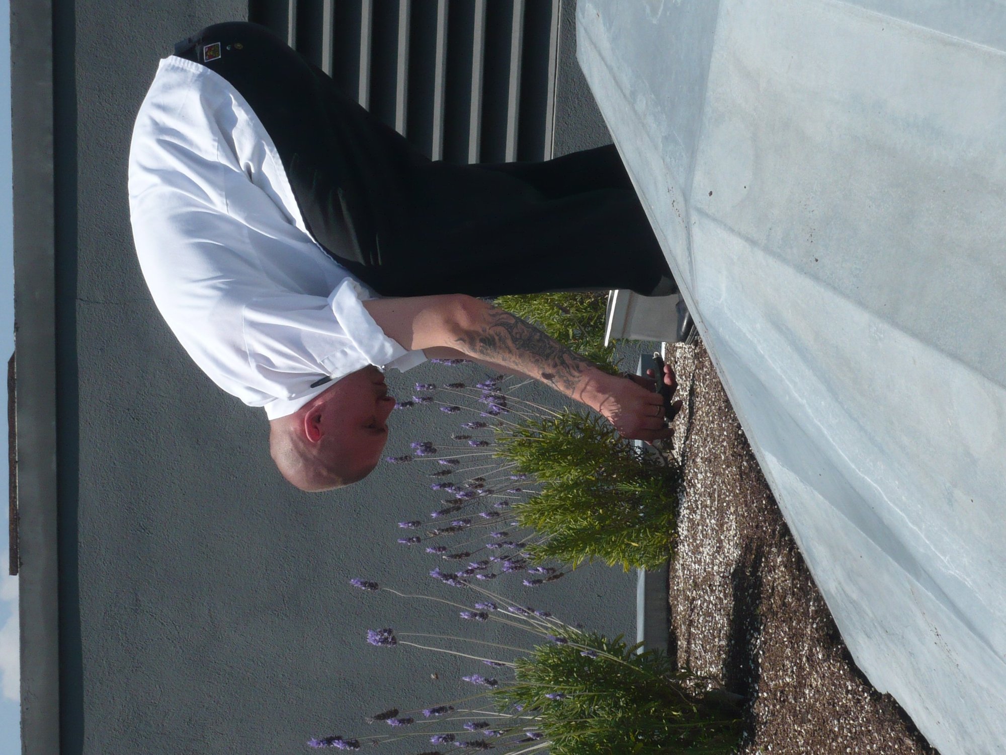 Gallery of AD Interviews: Alexis Rocha, I/O Platform - 5