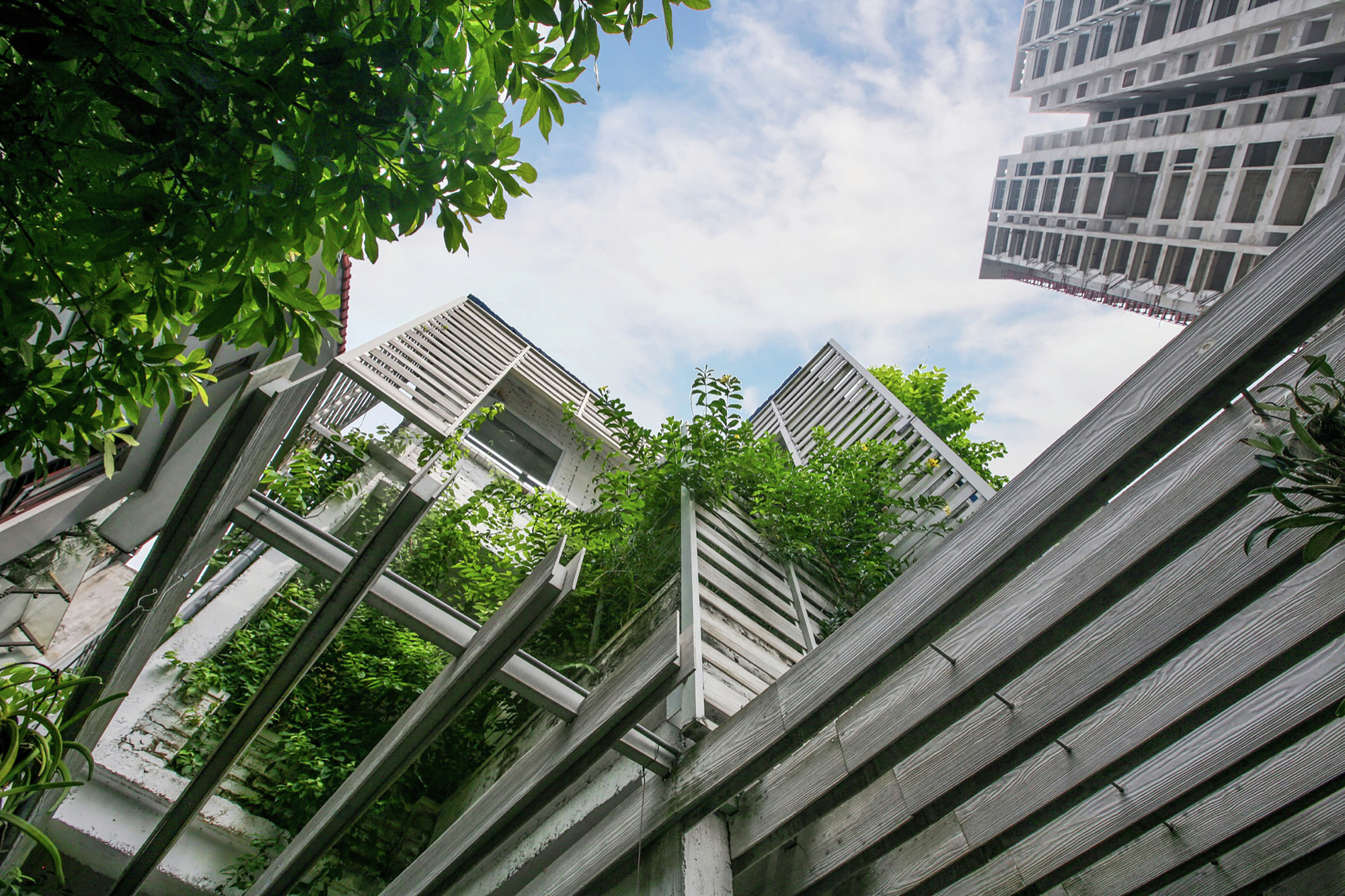 Gallery of Growing Green Office / Studio 102 - 3